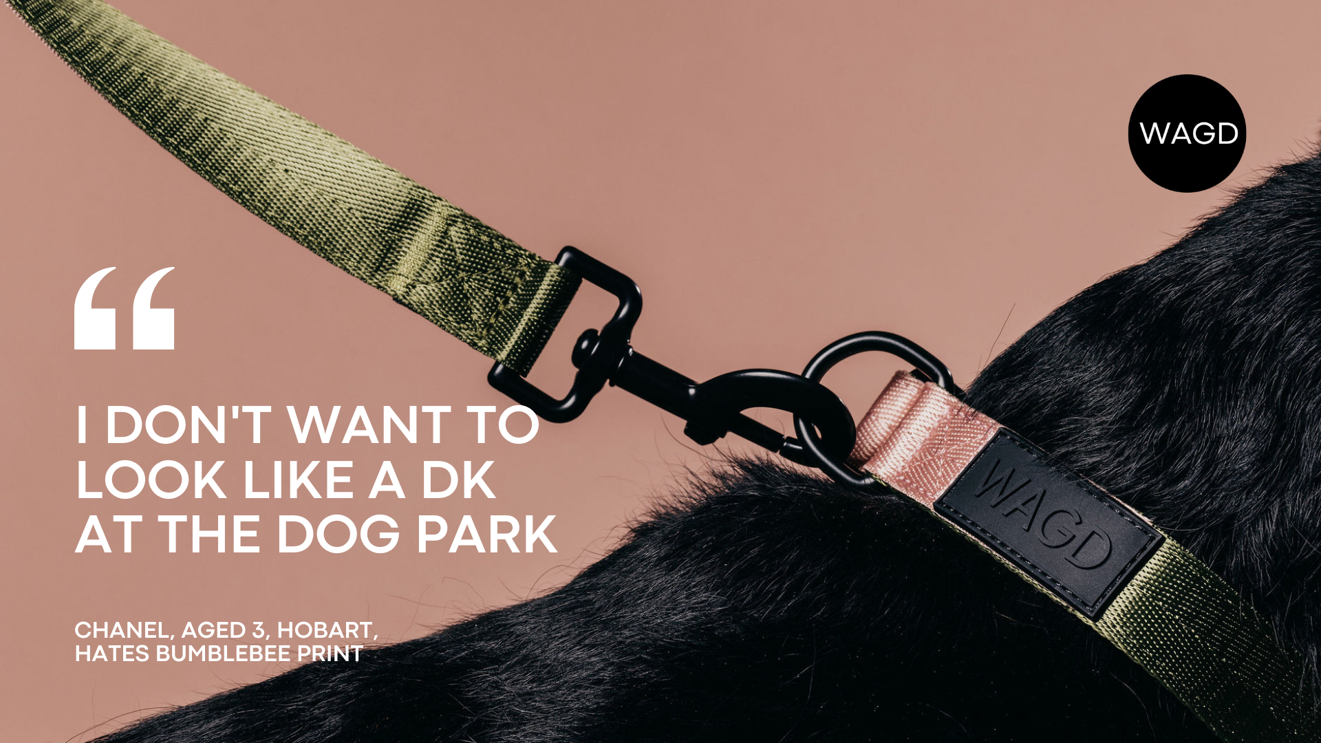 GOOD SHT FOR DOGS – WAGD